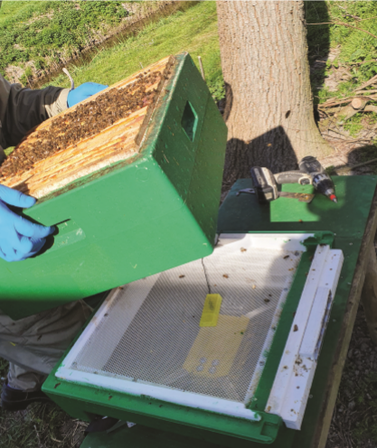 B-GOOD - BEEP platform development is presented at the 4th Bee and Hive ...
