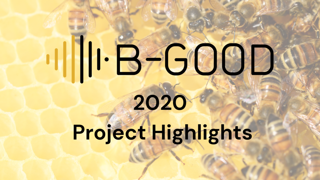 B-GOOD - B-GOOD project highligts for 2020