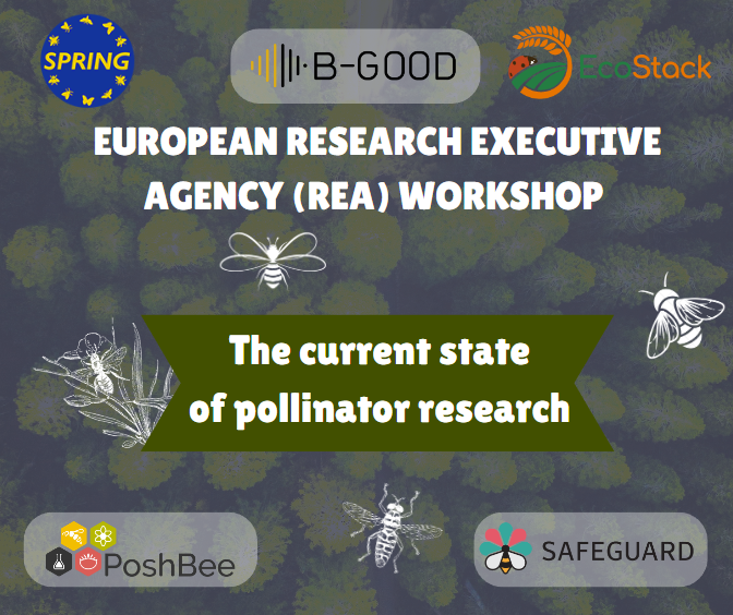 B-GOOD - The current state of pollinator research: European Research ...